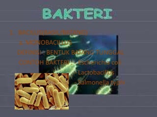 Bakteri kelas x ipa | PPTX
