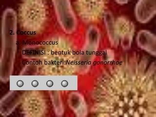 Bakteri kelas x ipa | PPTX