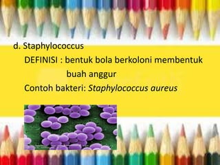 Bakteri kelas x ipa | PPTX