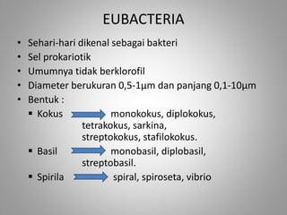 Bakteri | PPTX