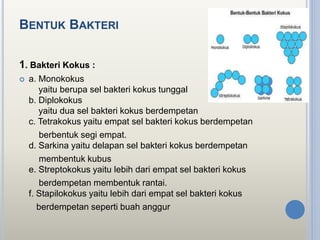 BAKTERI.ppt