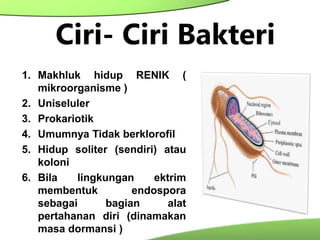 BAKTERI.pptx