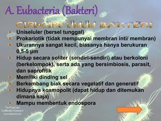 bakteri.ppt