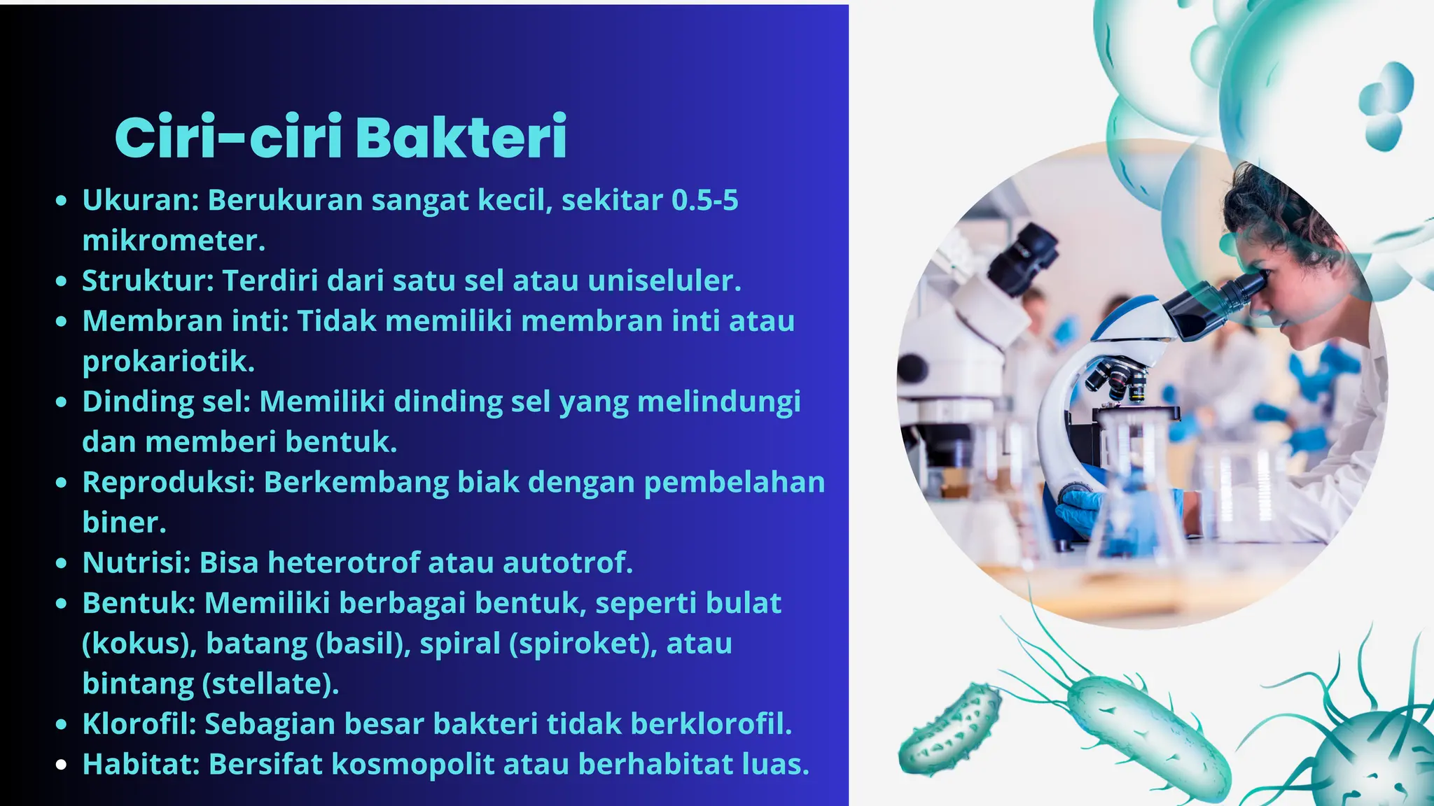 Pengertian Dan Contoh-contoh bakteri .pdf
