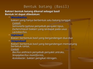 ciri-ciri dan struktur archae dan bakteri.ppt