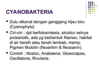 ciri-ciri dan struktur archae dan bakteri.ppt