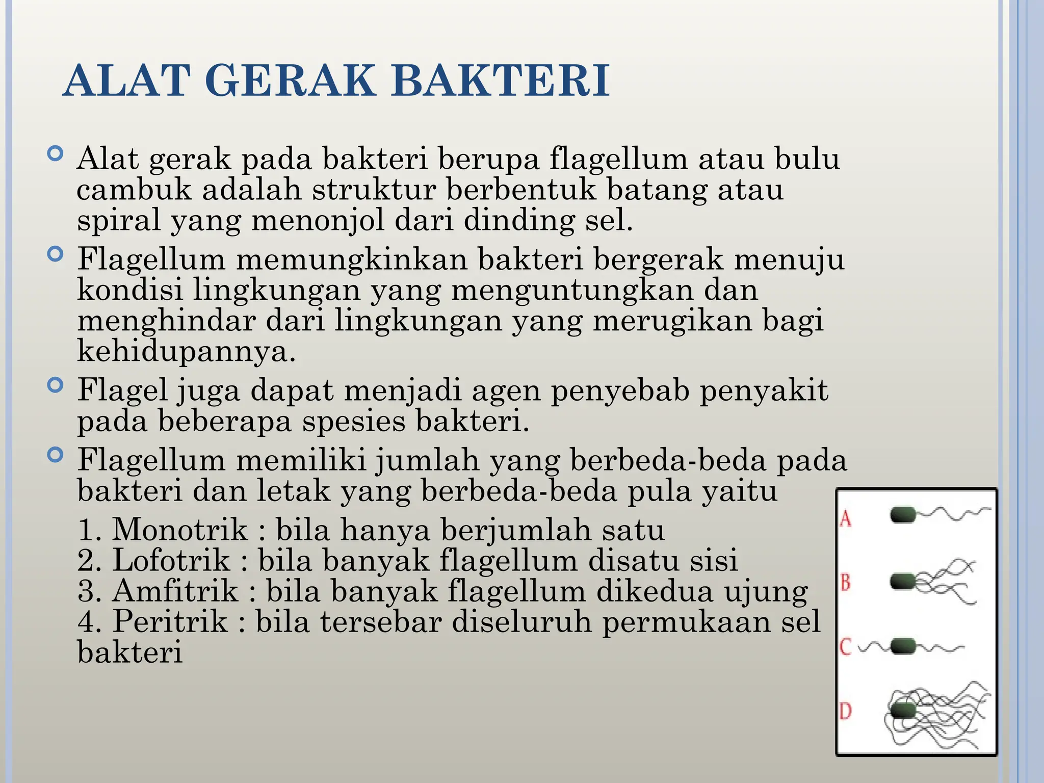 ciri-ciri dan struktur tubuh bakteri .ppt