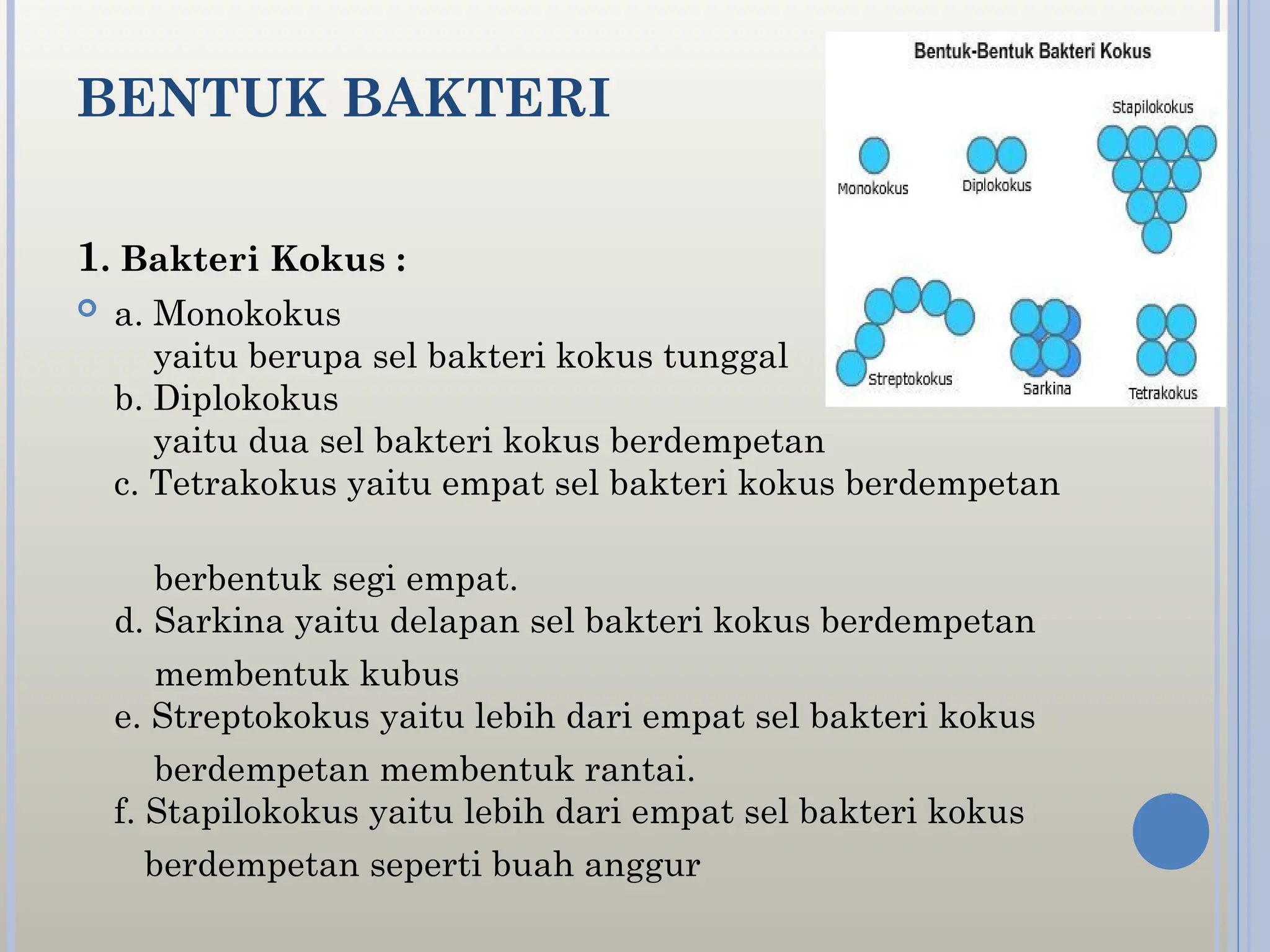 ciri-ciri dan struktur tubuh bakteri .ppt
