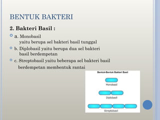 ciri-ciri dan struktur tubuh bakteri .ppt