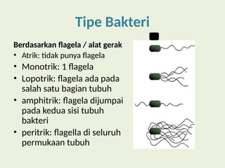 Bakteri Archaebacteria and Eubacteria.pptx