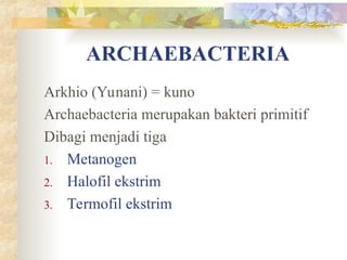 bakteri reproduksi ciri ciri contoh perkembangan | PPT