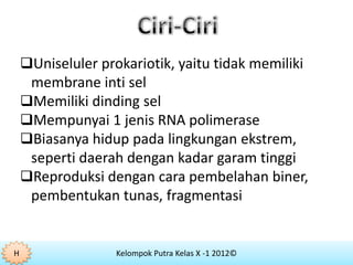 Bakteri + Archaebacteria | PPTX