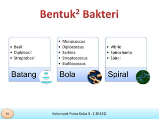 Bakteri + Archaebacteria | PPTX