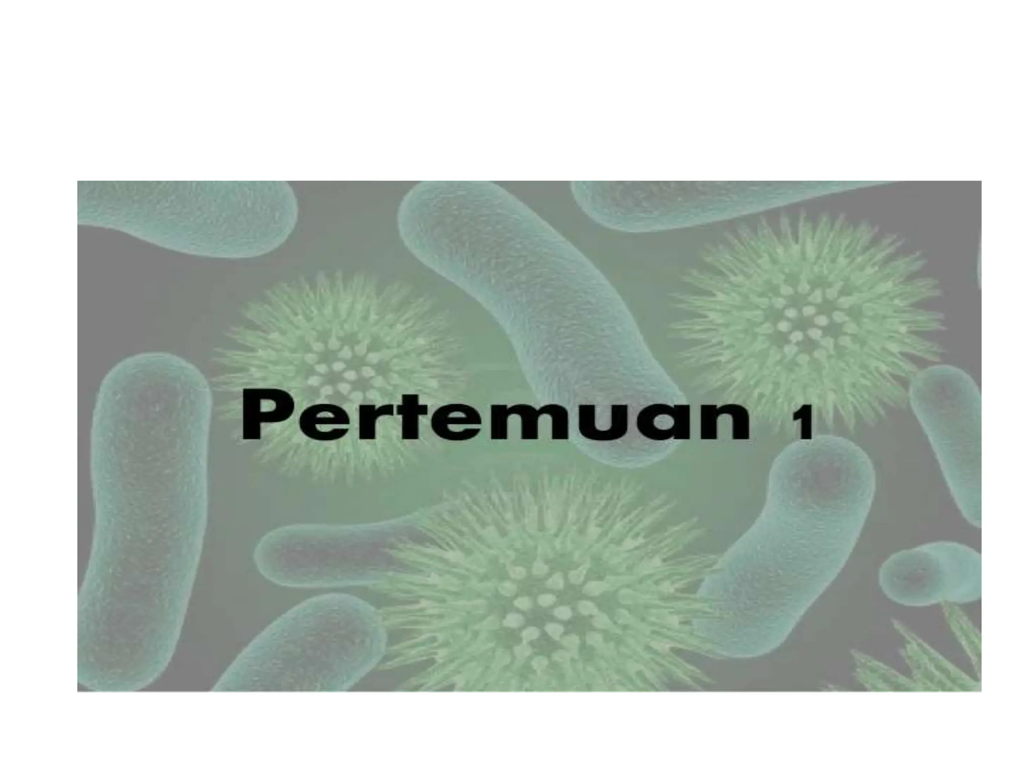 power point pembelajaran biologi bakteri .pptx