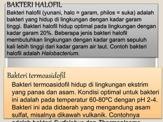 Bakteri Kelas X Kurikulum 2013 untuk SMA | PPTX