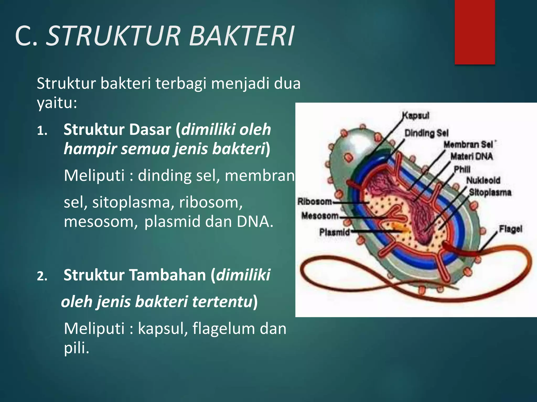 MIKROBIOLOGI DAN PARASITOLOGI "BAKTERI" | PPTX