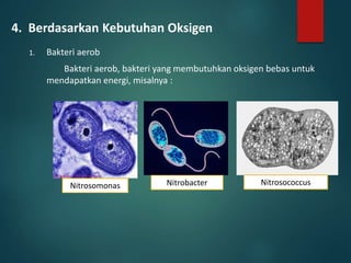 MIKROBIOLOGI DAN PARASITOLOGI "BAKTERI" | PPTX