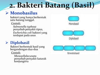 Bakteri kelas X | PPTX