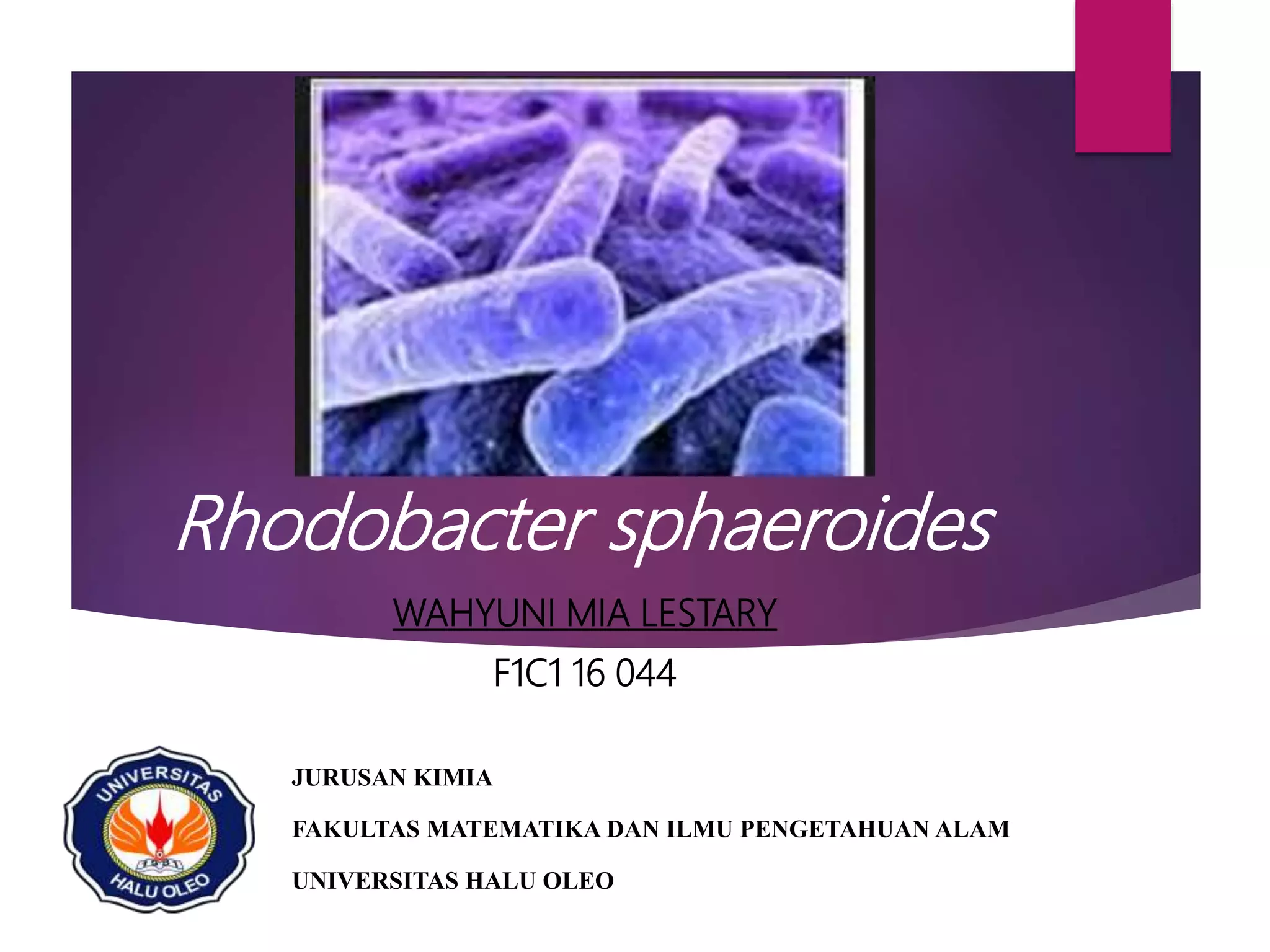 WAHYUNI MIA LESTARY (PPT 1) | PPTX