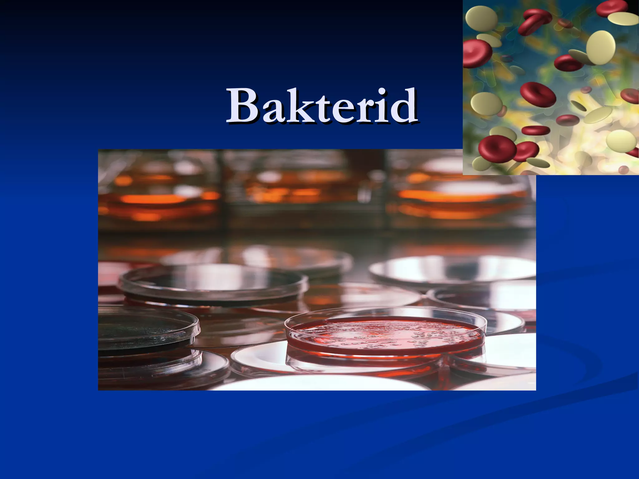 Bakterid | PPT