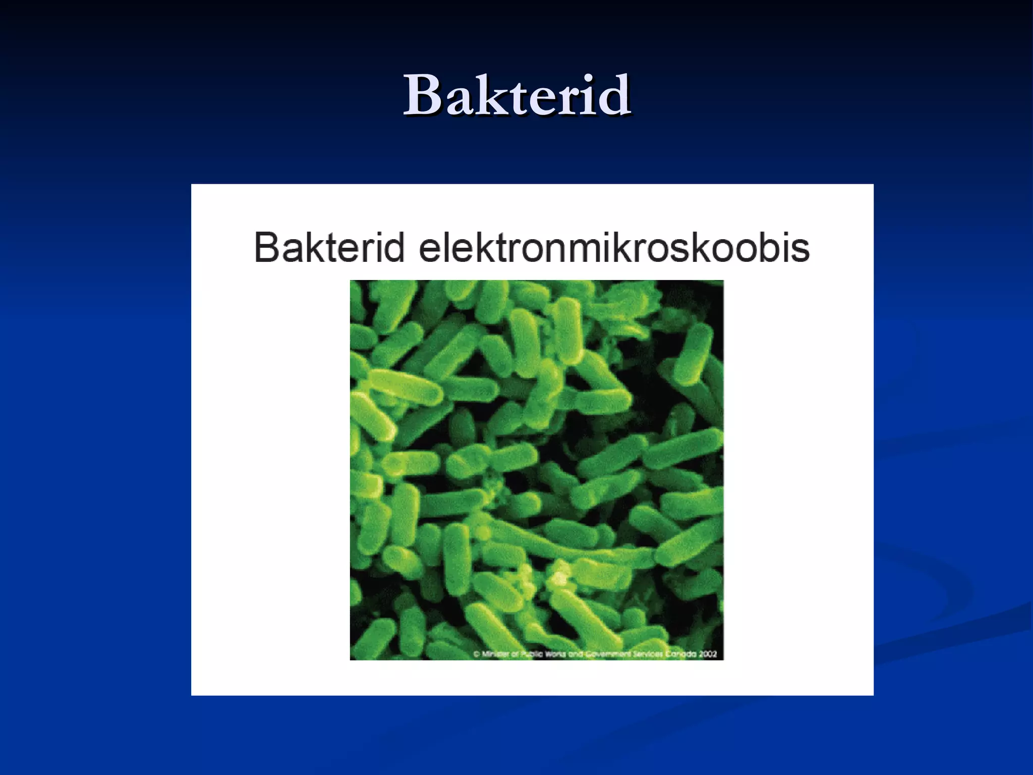 Bakterid | PPT