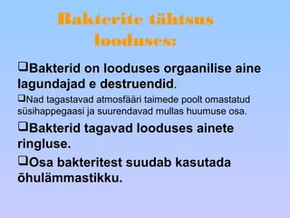 Bakterid | PPT