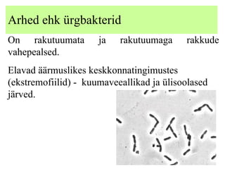 Bakterite ehitus, suurus ja kuju | PPT