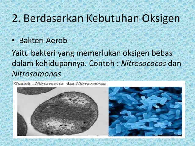 Bakteri_dan_Penggolongan_Bakteri.pptx