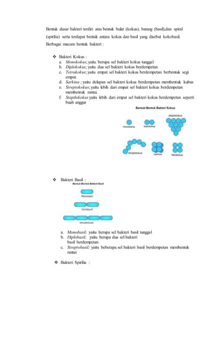 Bakteri dan penyakit yang menyerang sistem pernapasan | DOCX