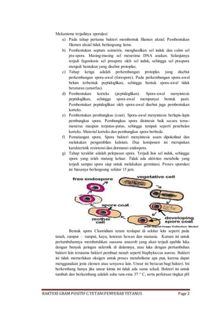 Bakteri gram positif c.tetani penyebab tetanus | DOCX