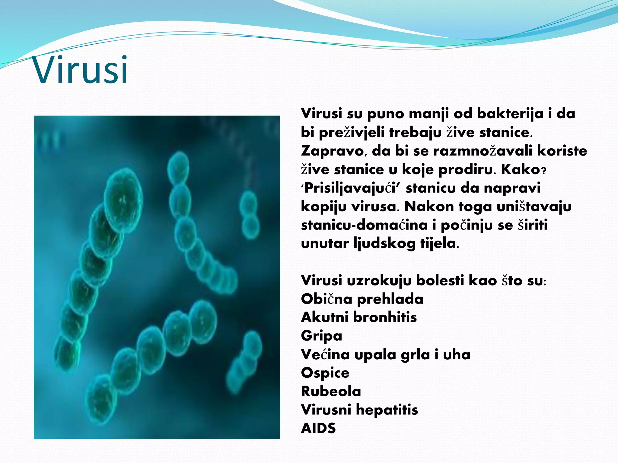 Bakterija i virusi | PPTX