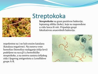 Bakterija i virusi | PPTX