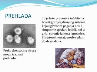 Bakterija i virusi | PPTX