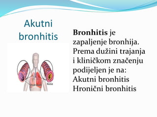 Bakterija i virusi | PPTX