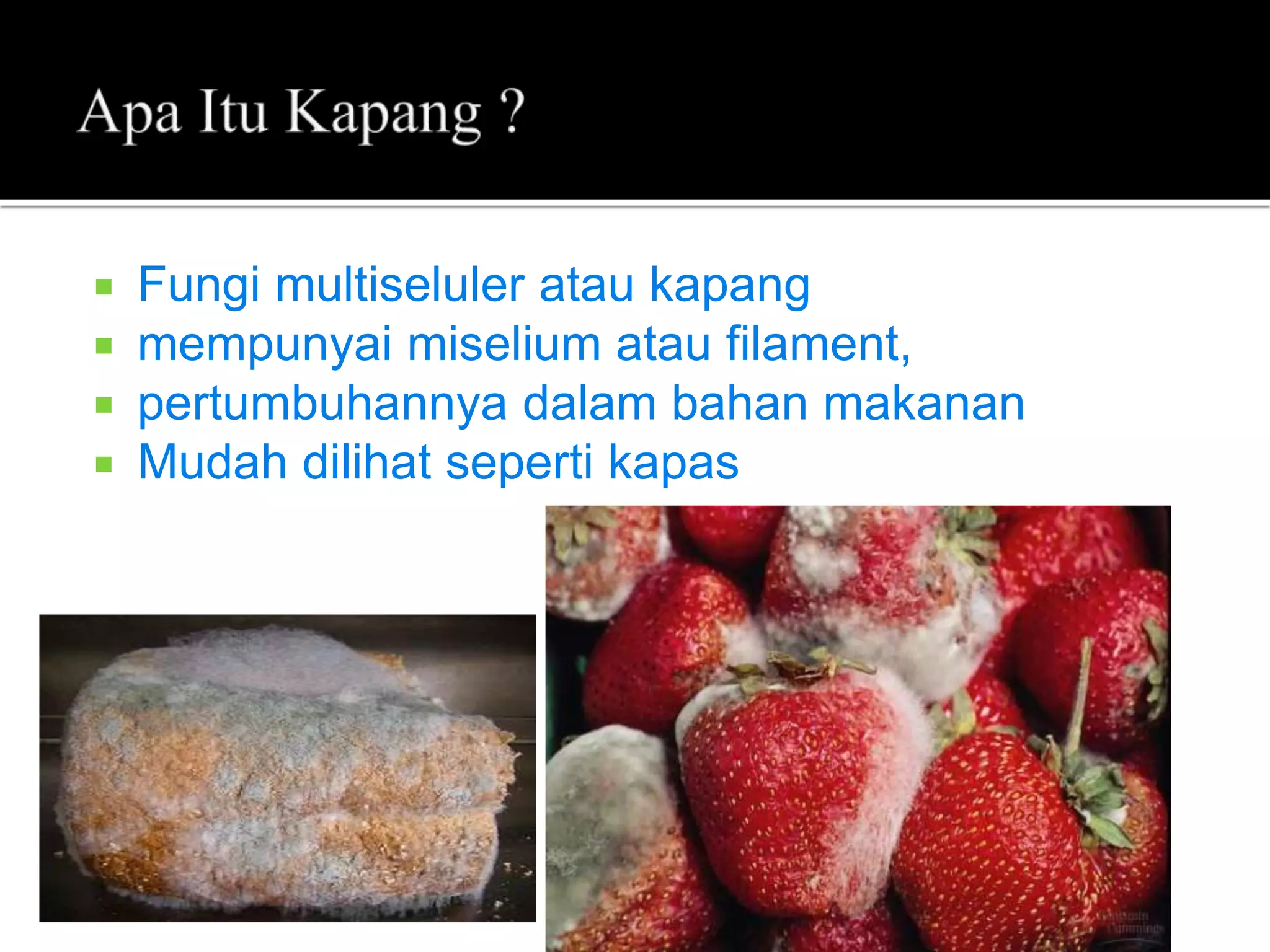 Bakteri_Kapang_dan_Khamir_ppt.pptx