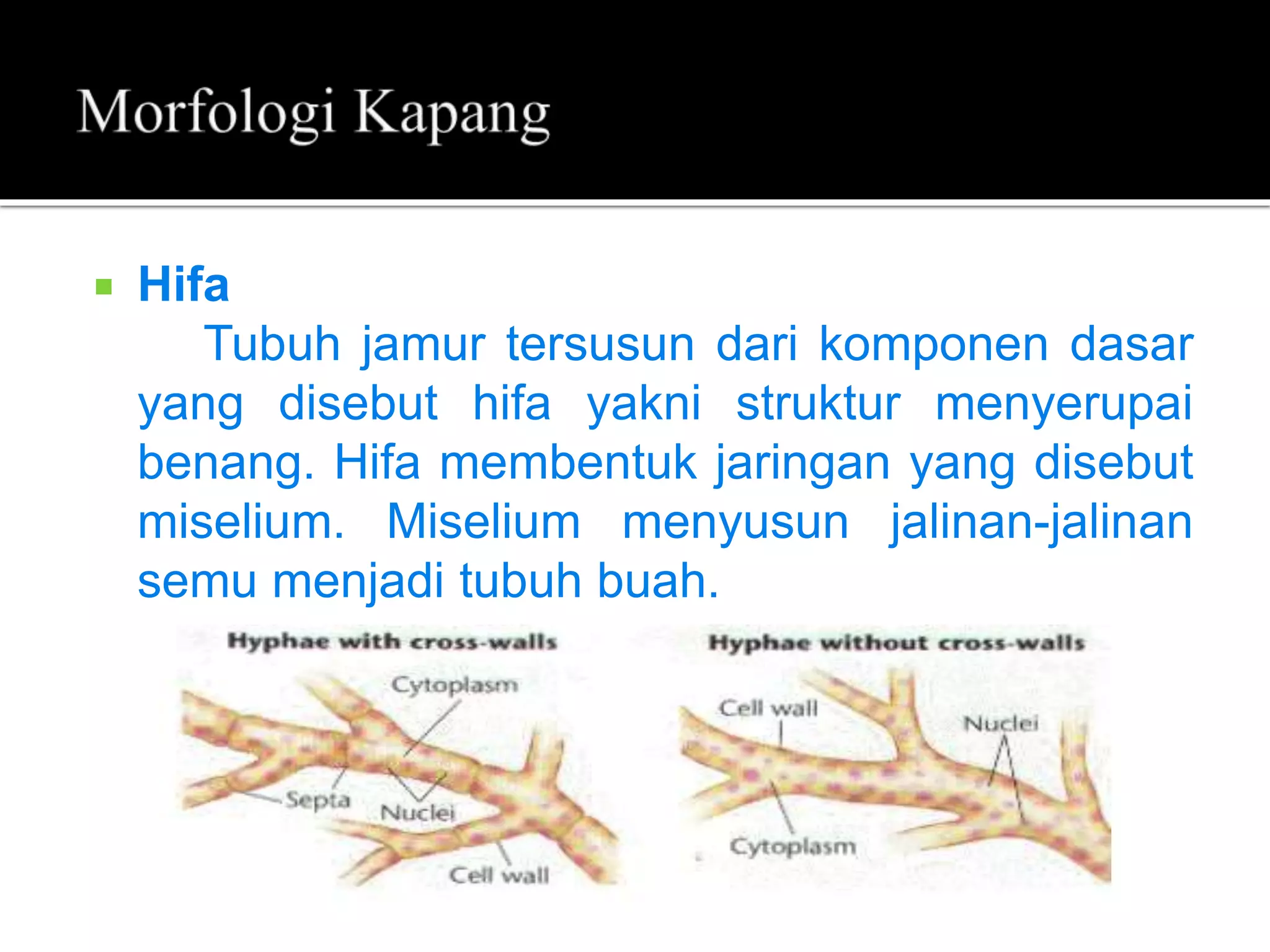 Bakteri_Kapang_dan_Khamir_ppt.pptx