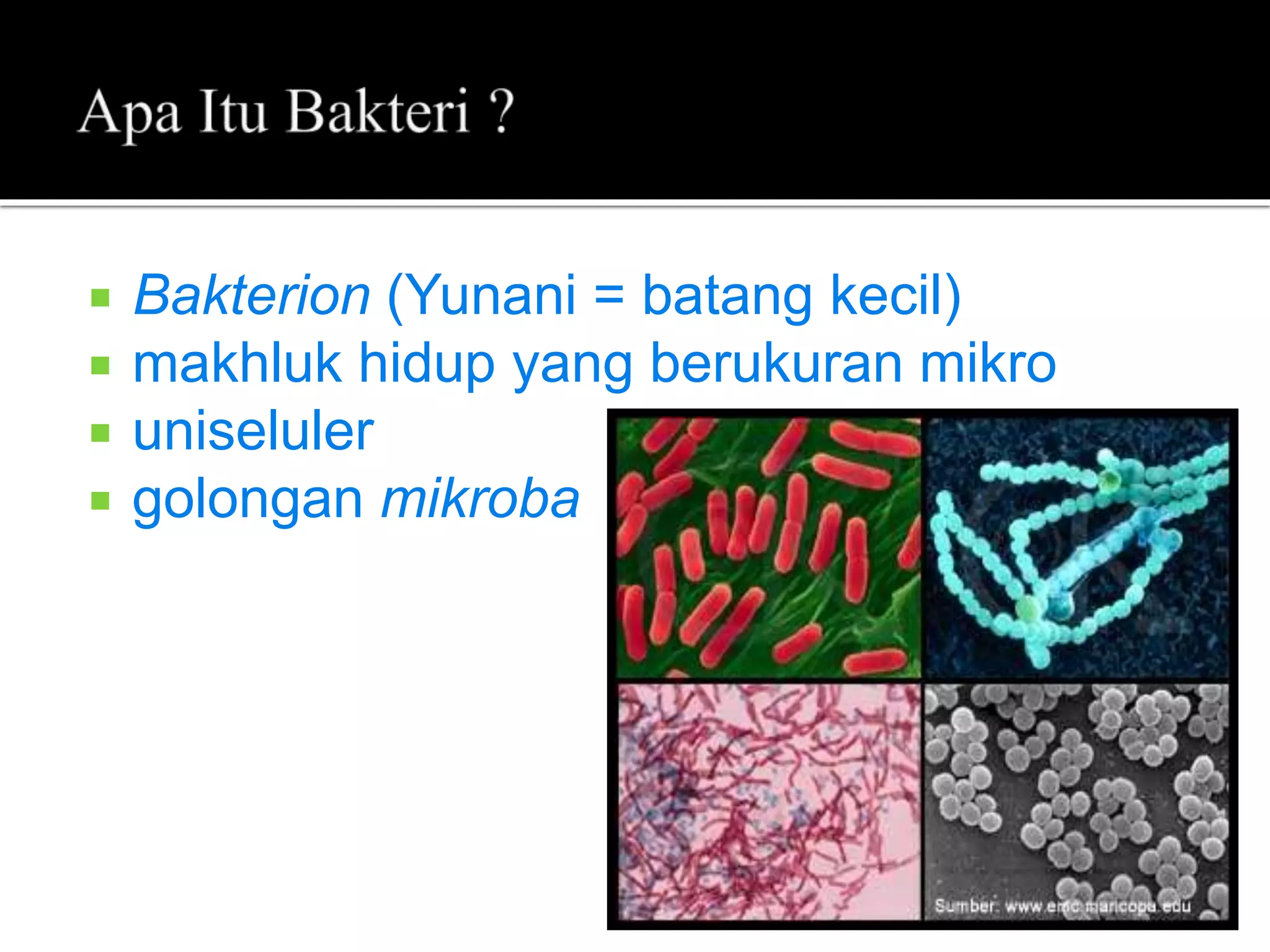 Bakteri_Kapang_dan_Khamir_ppt.pptx
