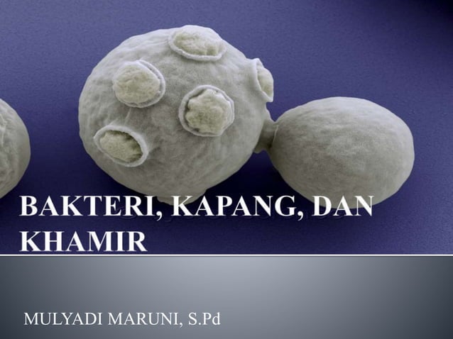 Bakteri_Kapang_dan_Khamir_ppt.pptx