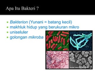 Bakteri_Kapang_dan_Khamir_ppt.pptx