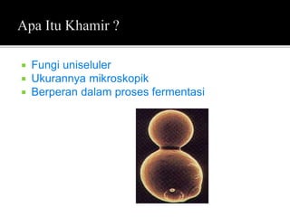 Bakteri_Kapang_dan_Khamir_ppt.pptx