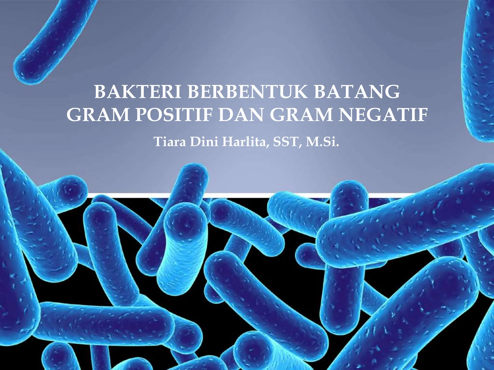 BAKTERIOLOGI 1 - BAKTERI BATANG GRAM POSITIF DAN GRAM NEGATIF - 2021.pptx