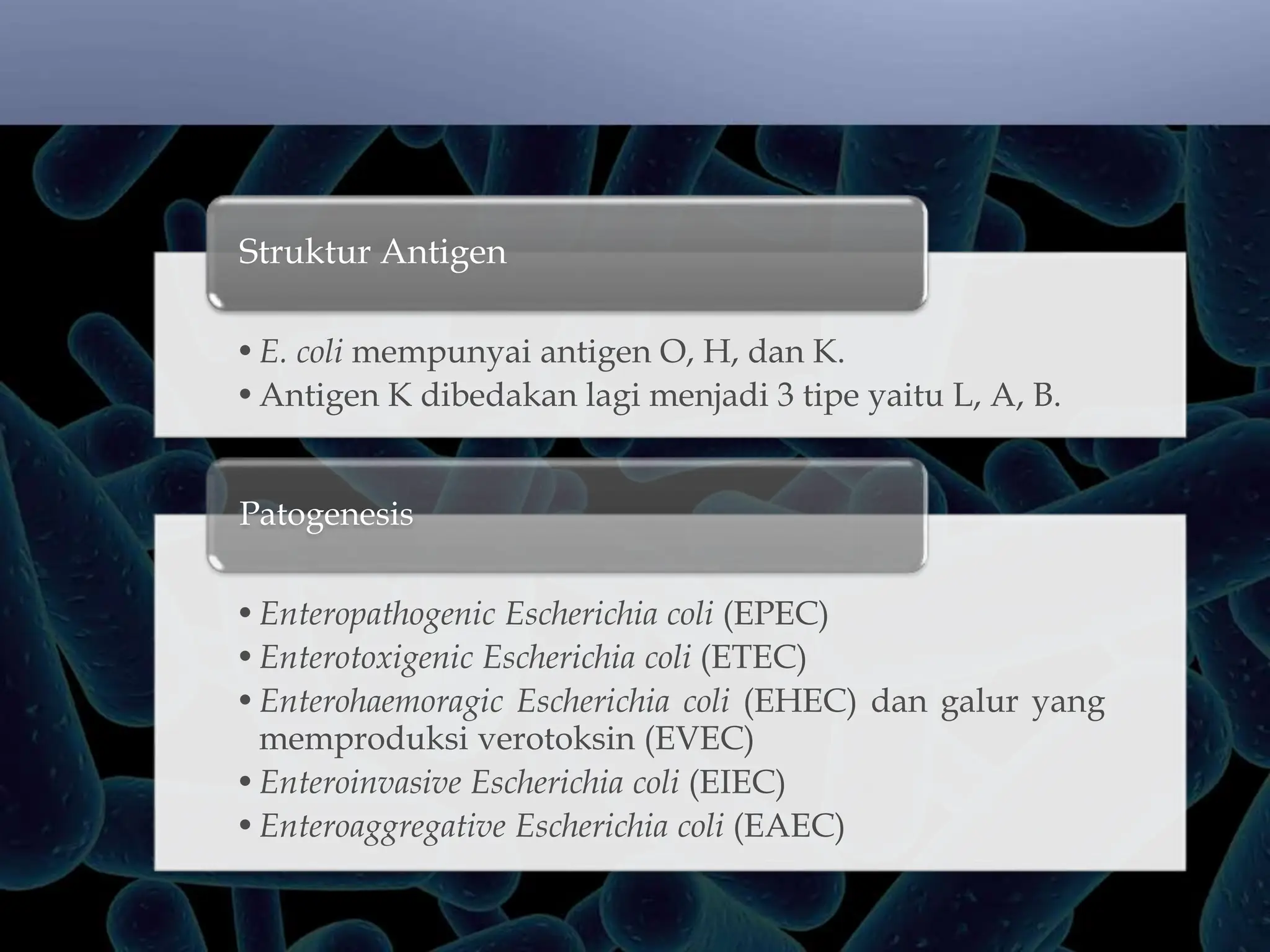 BAKTERIOLOGI 1 - BAKTERI BATANG GRAM POSITIF DAN GRAM NEGATIF - 2021.pptx
