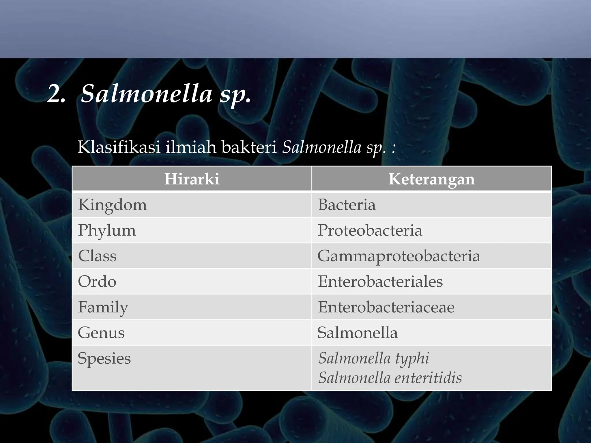 BAKTERIOLOGI 1 - BAKTERI BATANG GRAM POSITIF DAN GRAM NEGATIF - 2021.pptx