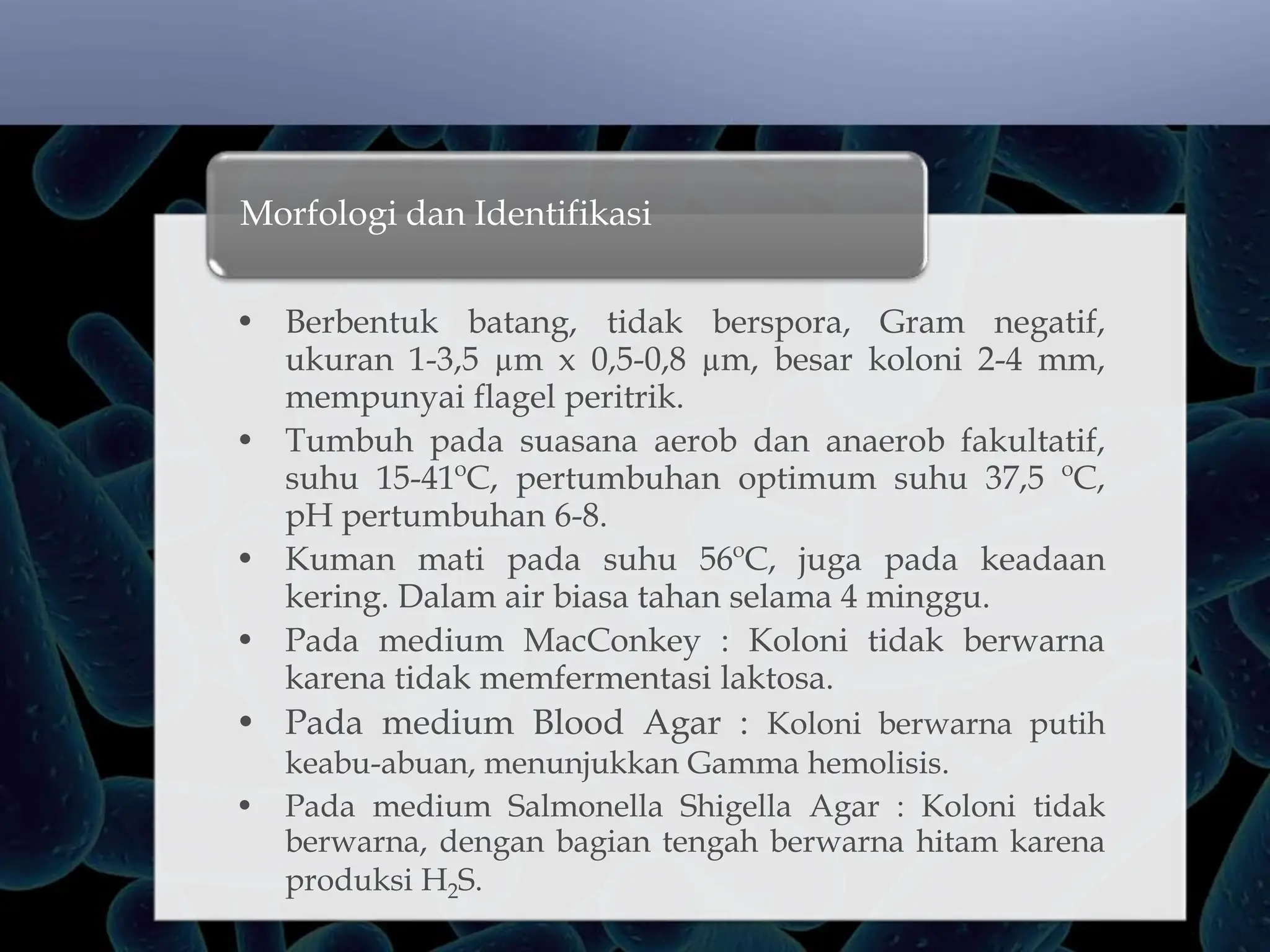 BAKTERIOLOGI 1 - BAKTERI BATANG GRAM POSITIF DAN GRAM NEGATIF - 2021.pptx