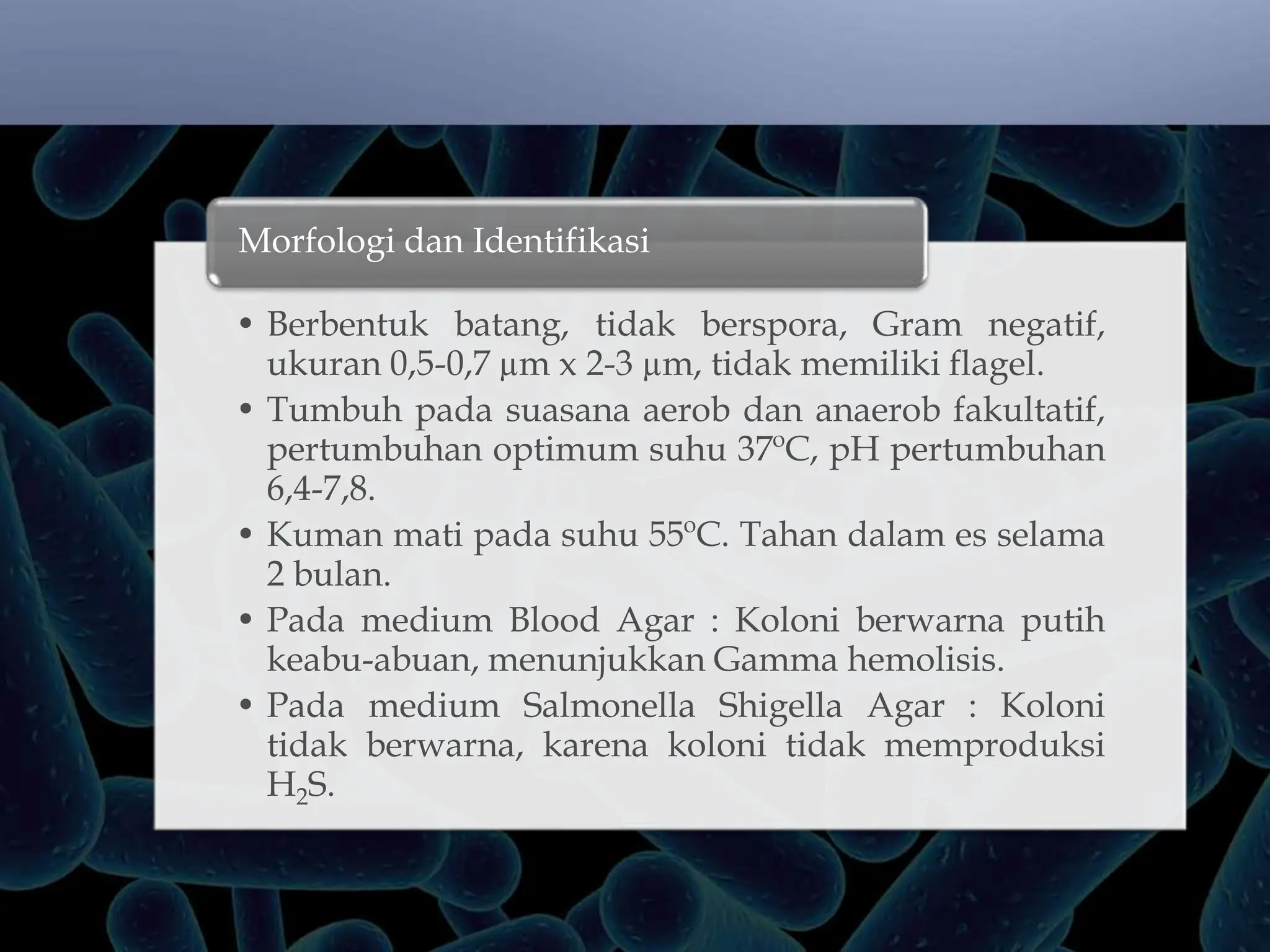BAKTERIOLOGI 1 - BAKTERI BATANG GRAM POSITIF DAN GRAM NEGATIF - 2021.pptx