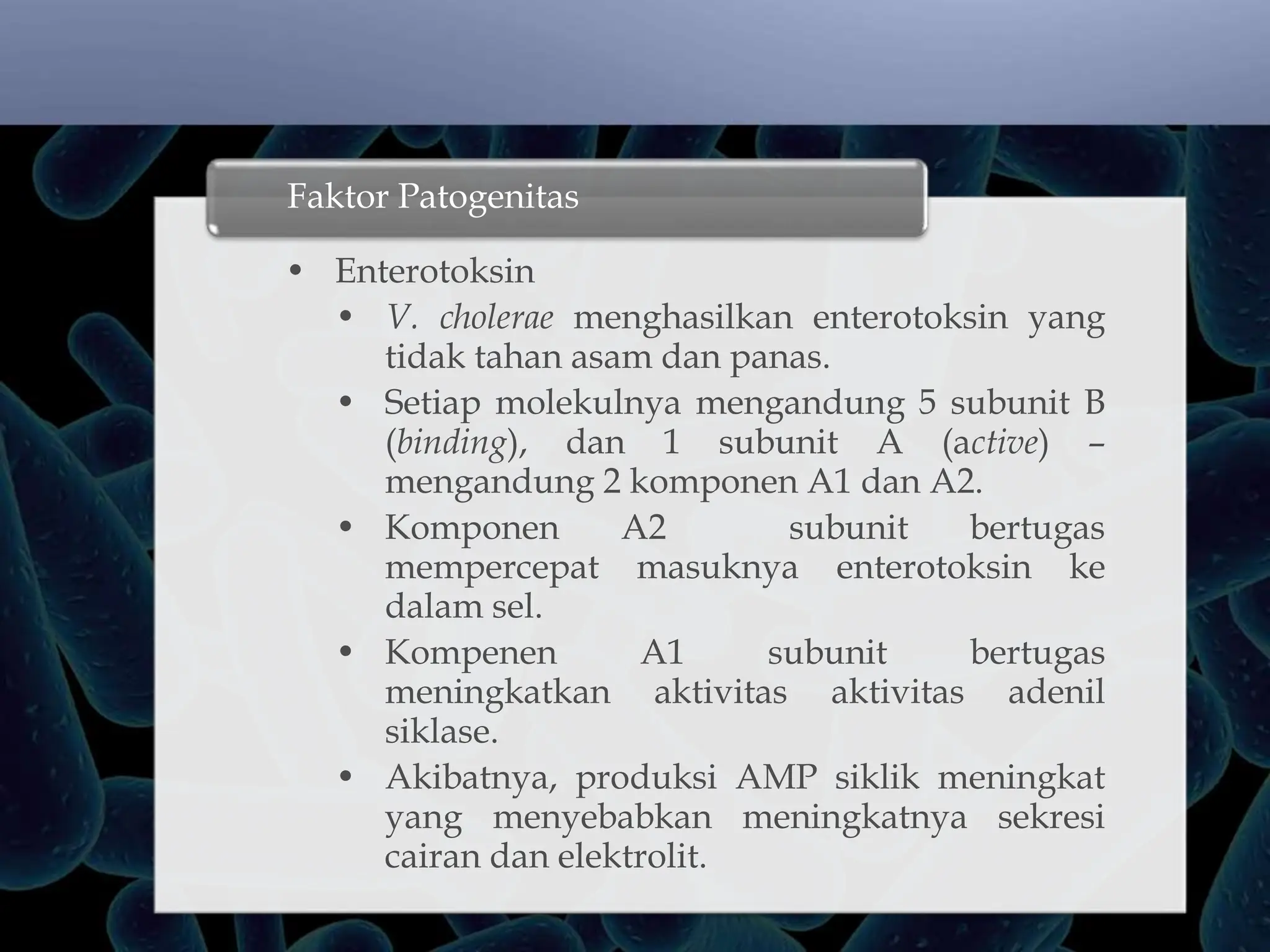 BAKTERIOLOGI 1 - BAKTERI BATANG GRAM POSITIF DAN GRAM NEGATIF - 2021.pptx