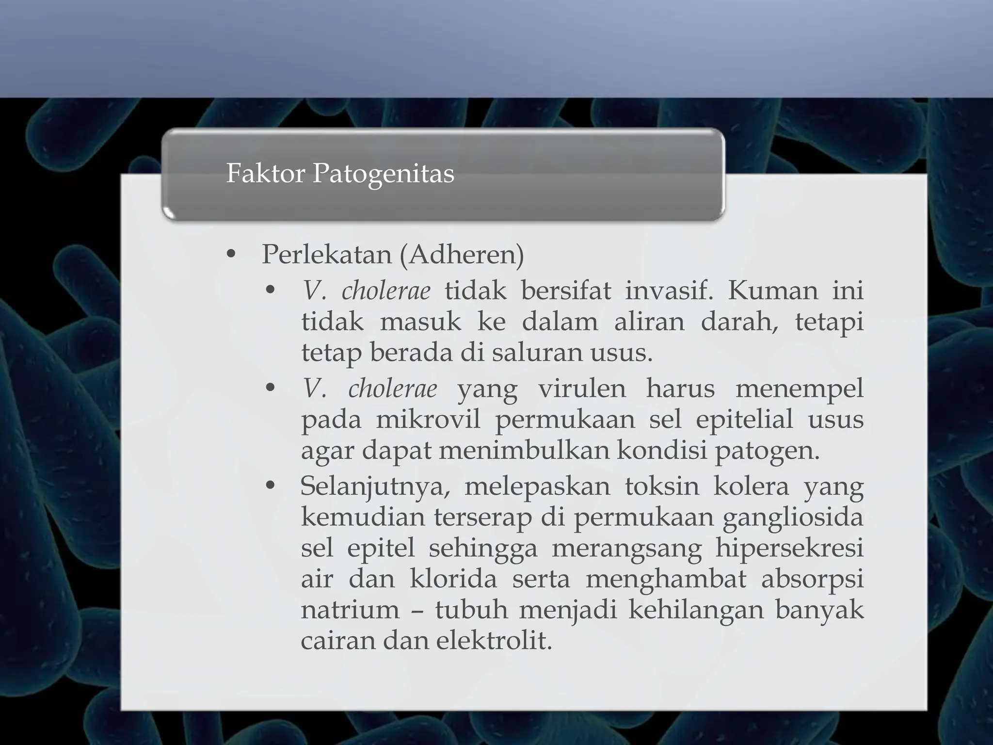 BAKTERIOLOGI 1 - BAKTERI BATANG GRAM POSITIF DAN GRAM NEGATIF - 2021.pptx