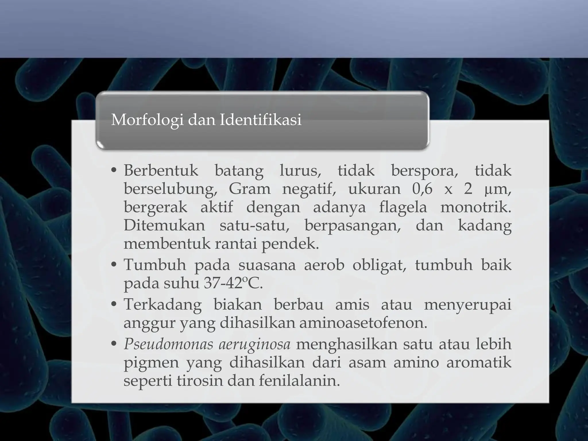 BAKTERIOLOGI 1 - BAKTERI BATANG GRAM POSITIF DAN GRAM NEGATIF - 2021.pptx