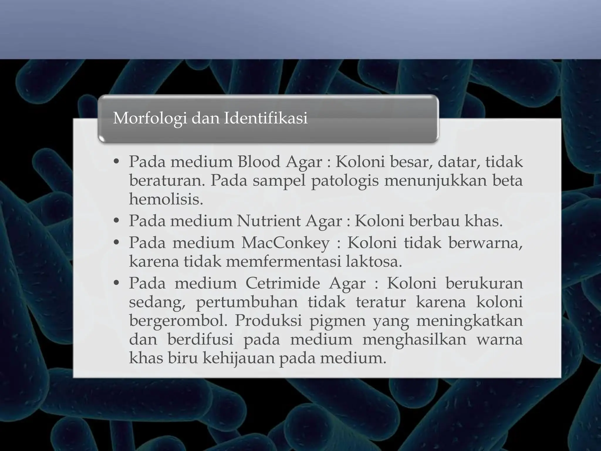 BAKTERIOLOGI 1 - BAKTERI BATANG GRAM POSITIF DAN GRAM NEGATIF - 2021.pptx