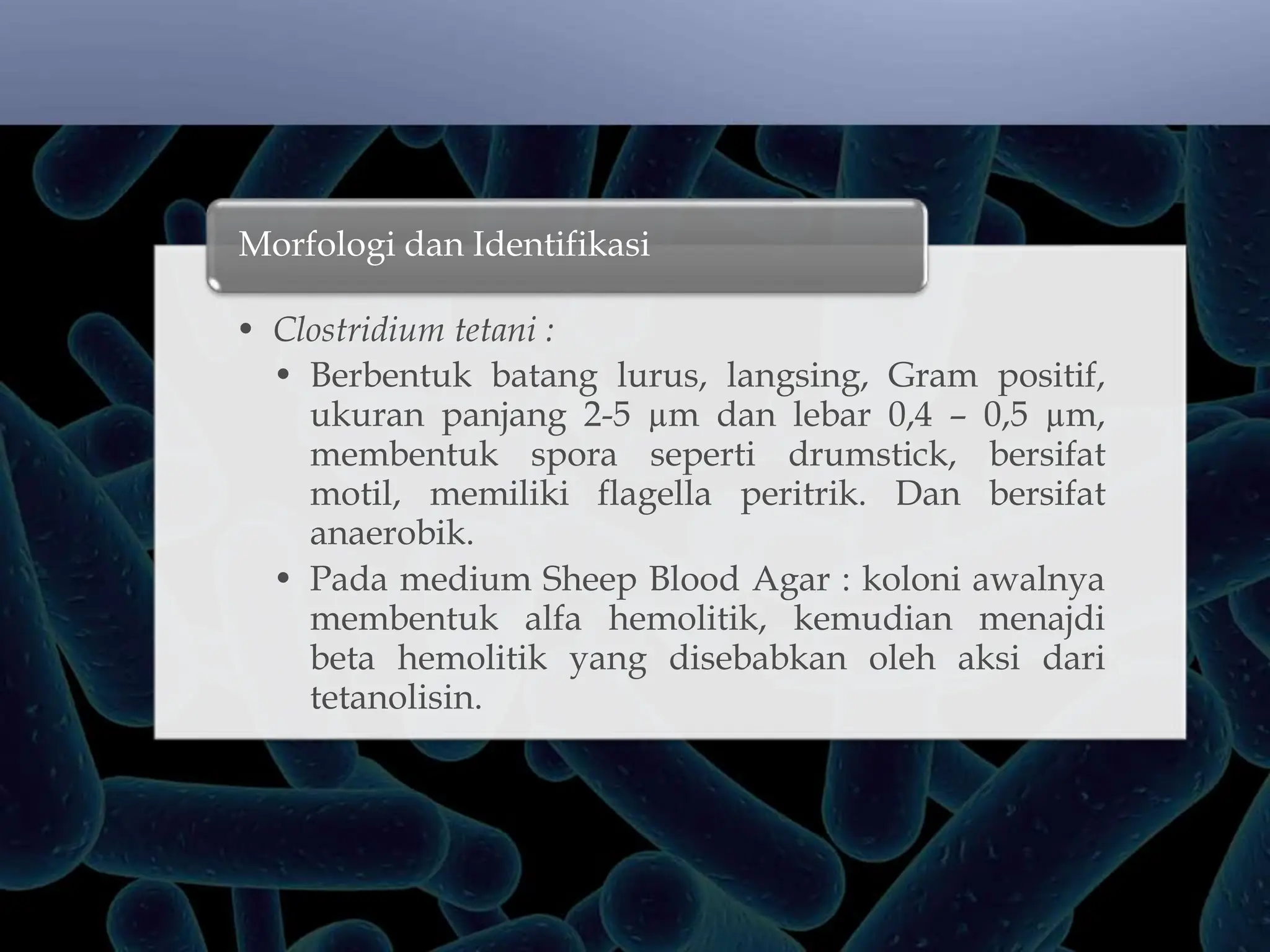 BAKTERIOLOGI 1 - BAKTERI BATANG GRAM POSITIF DAN GRAM NEGATIF - 2021.pptx